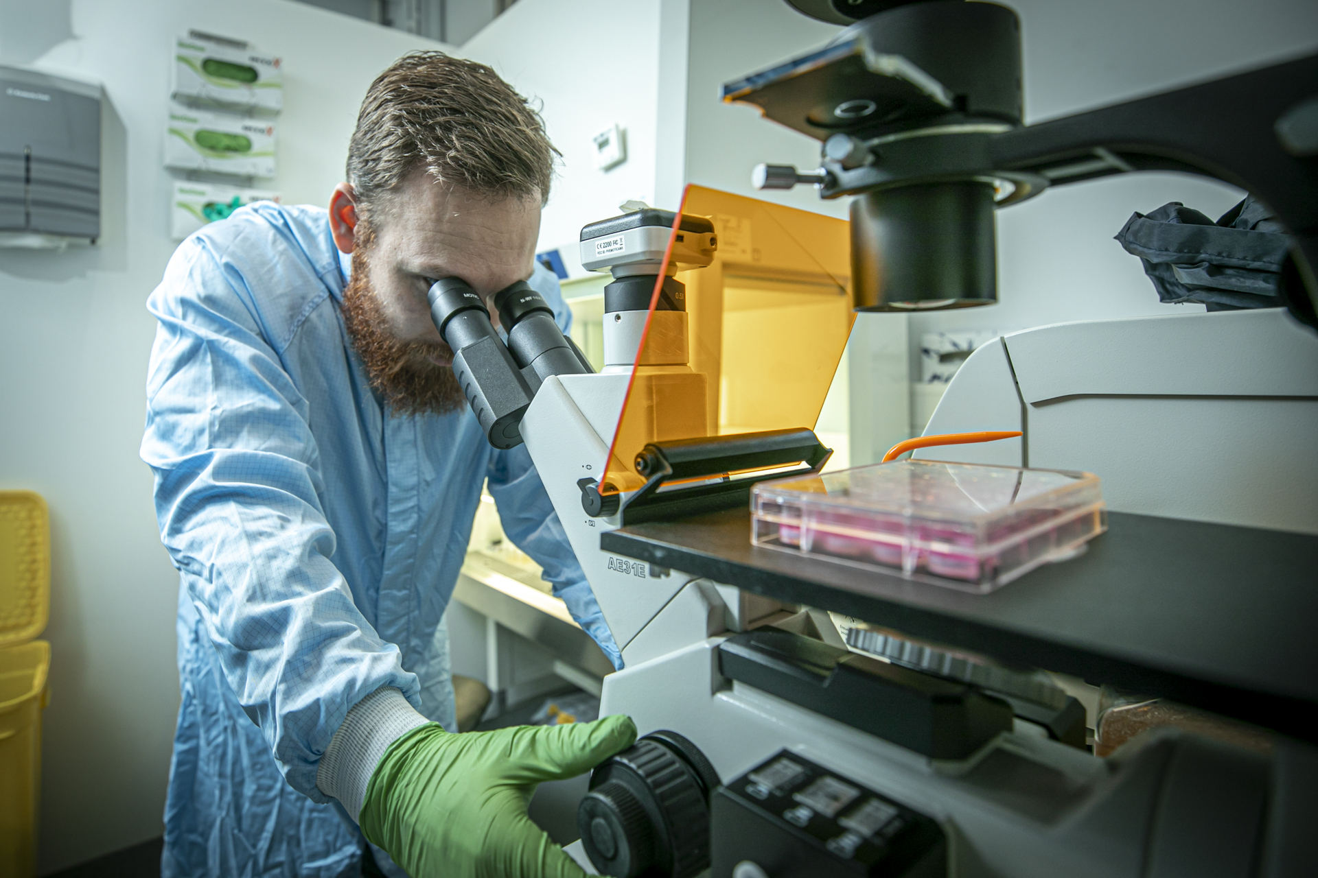 What are organoids and why are they important? - Ossiform - W E PRINT BONE