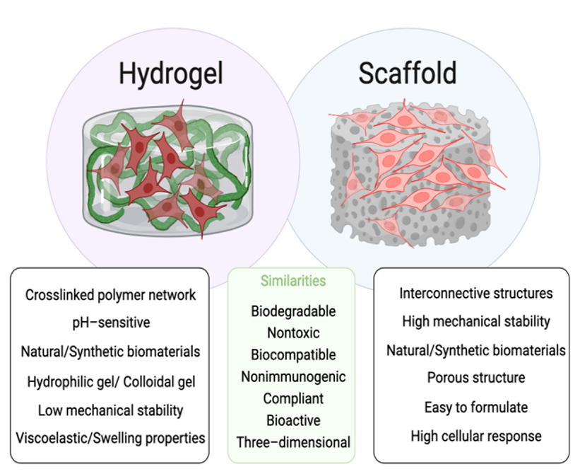 Hydrogels versus Scaffolds: When to Choose What? - Ossiform - W E PRINT ...