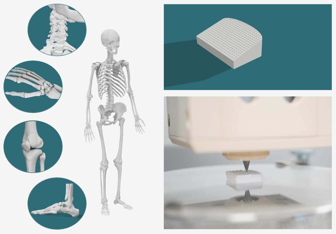 Home - Ossiform - W E PRINT BONE