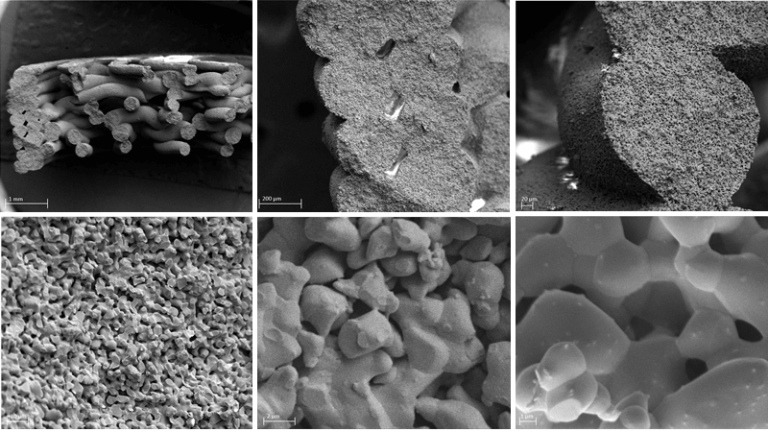 Home - Ossiform - W E PRINT BONE