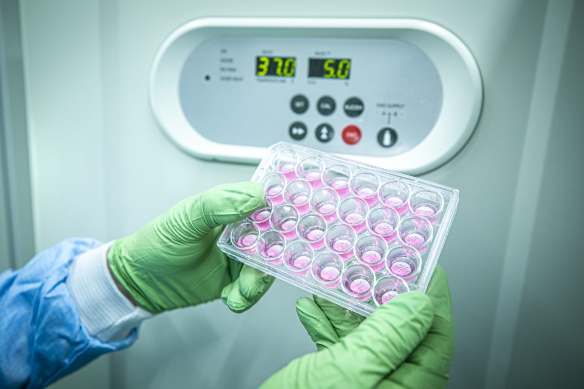 Why 3D bone printing is a foundation for pioneering research - Ossiform ...